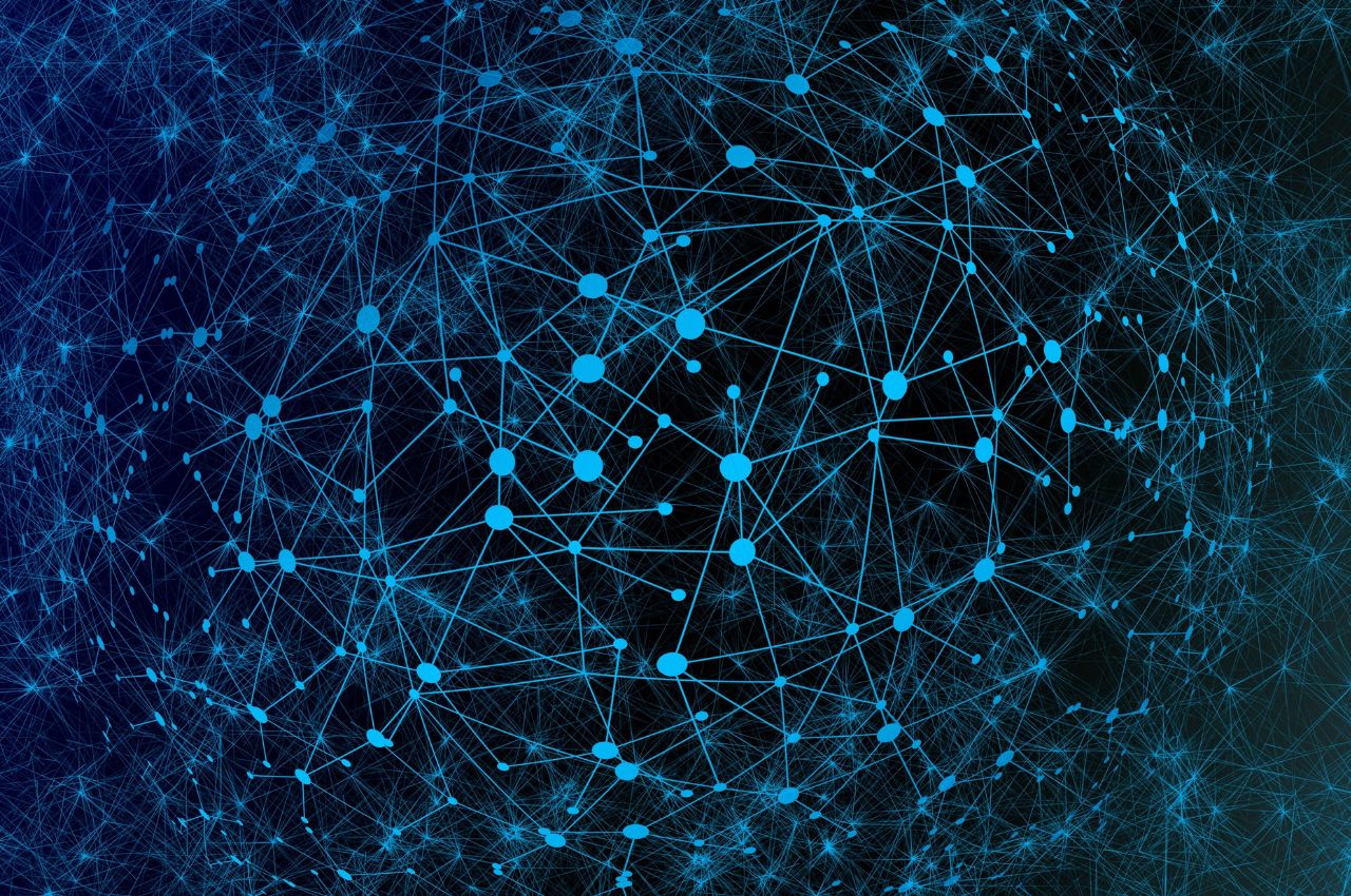 ¿Qué son las redes Backbone y para qué se utilizan? | SSD Blog